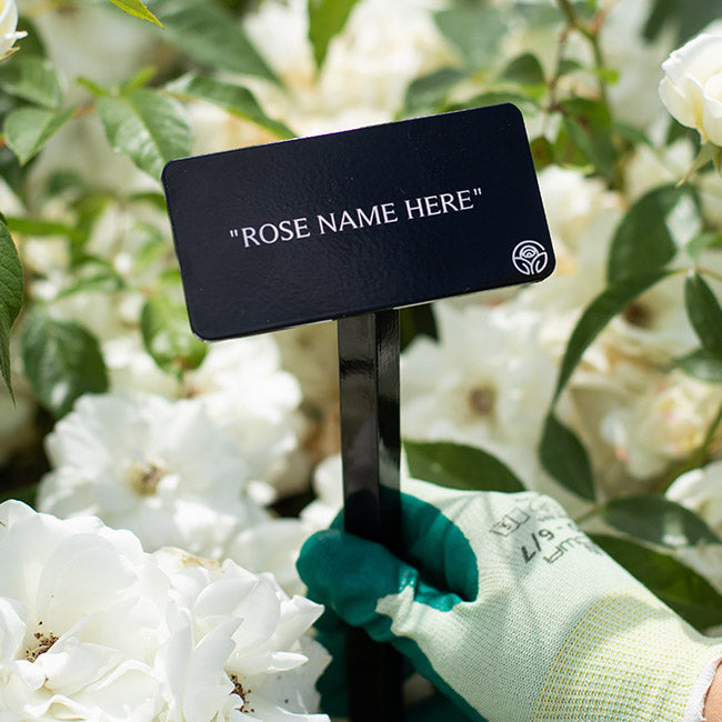 The Mayflower™ Garden Marker – Heirloom
