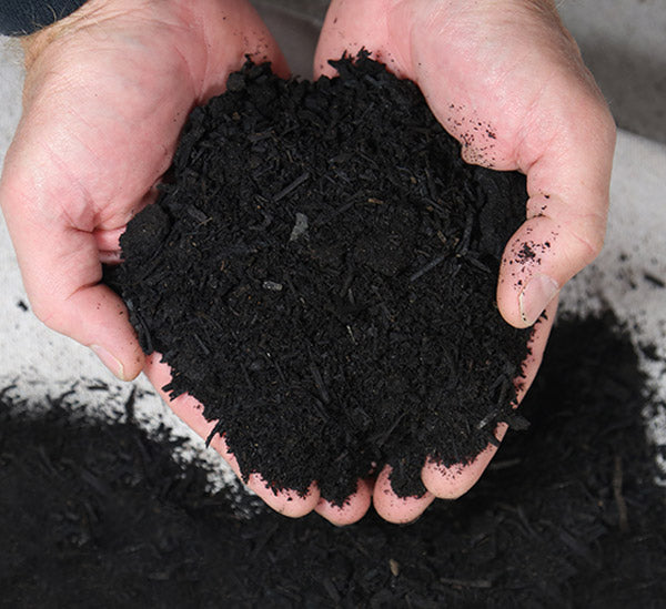 Using Compost as Mulch in Your Garden – Heirloom Roses