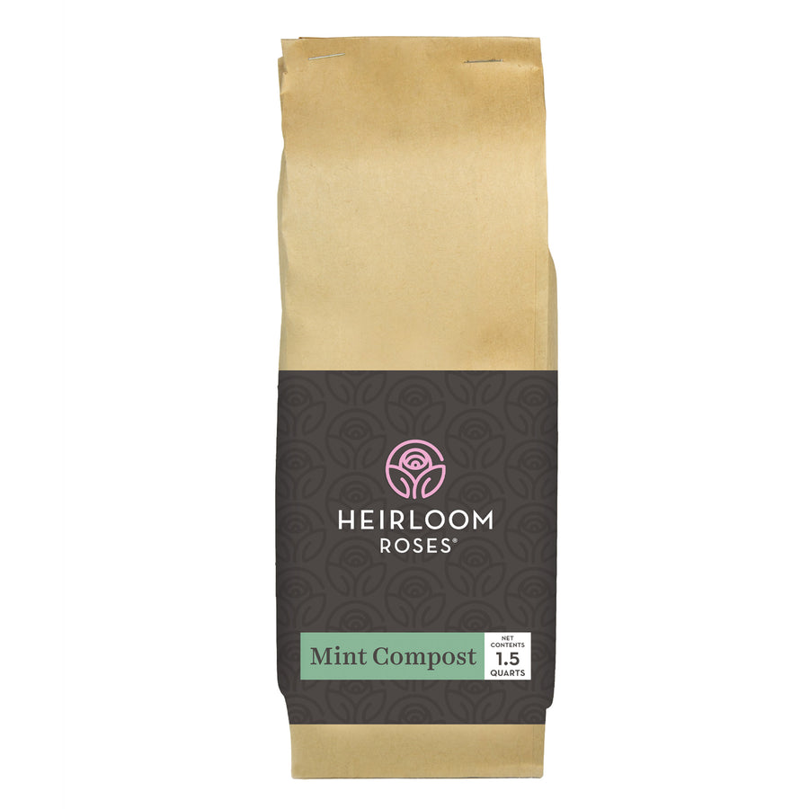 100% Natural Mint Compost – Heirloom Roses