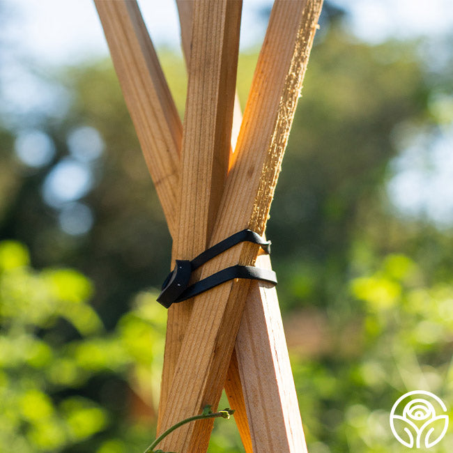 LoopLock Garden Ties – Heirloom Roses